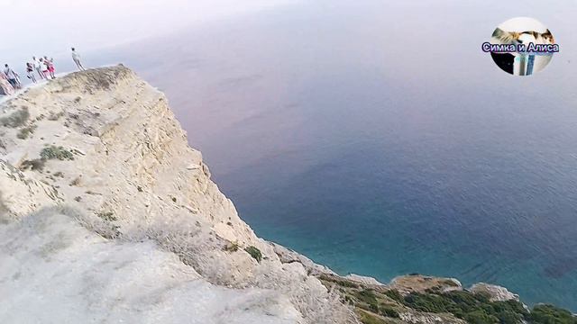 Отправляемся на гнёзда Ласточек!😸 | Симка и Алиса дзен