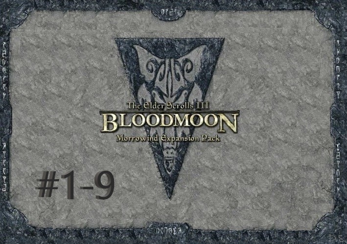 TESIII Bloodmoon #1-9 Проклятый капитан.mp4