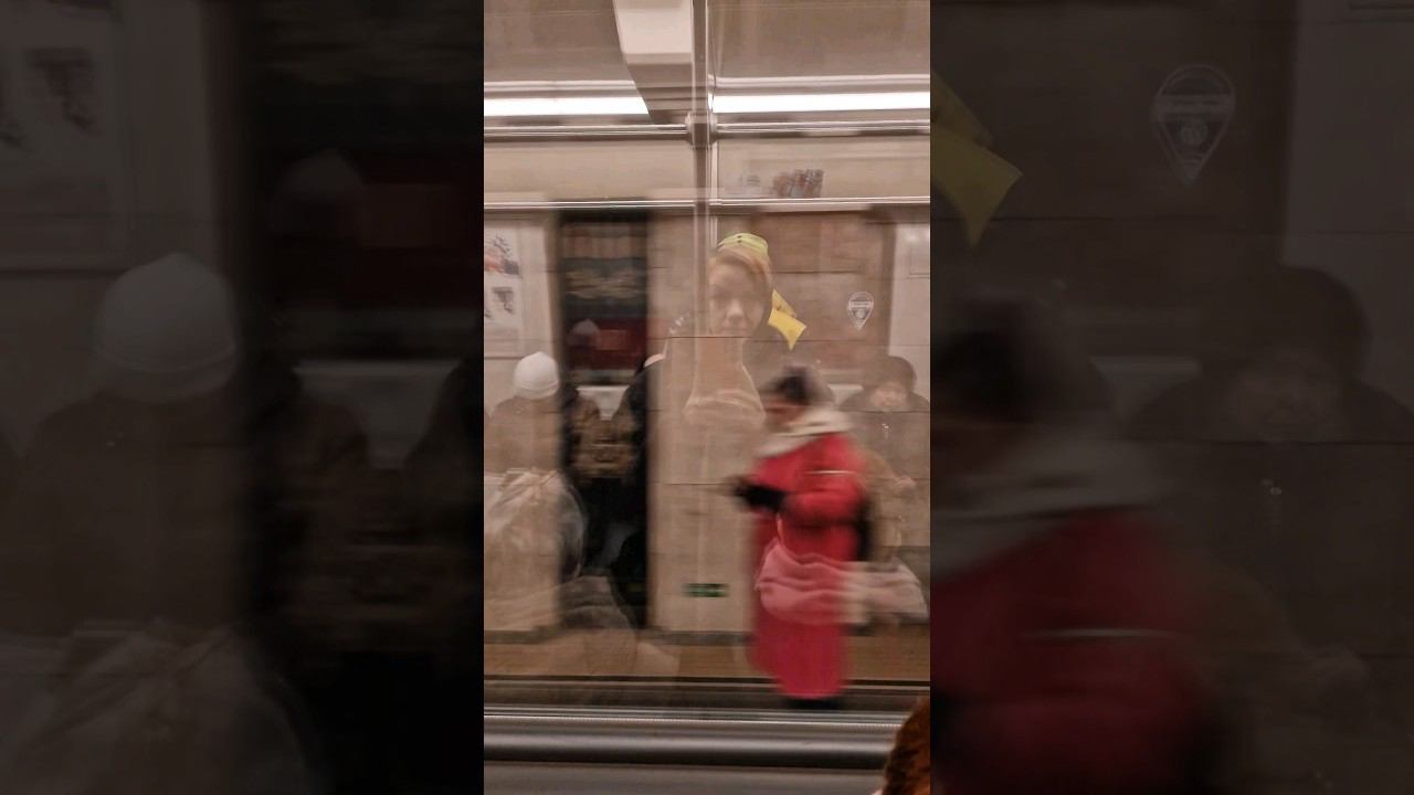 Где-то под Питером#жизньвовремяпутешествий #песковыпутешествуют #питер2024#метроСПБ