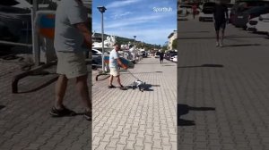 Как вы представляете свою идеальную прогулку_