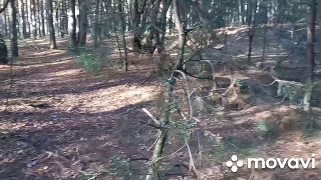 ❗ПОСЛЕДНИЙ ДЕНЬ ОСЕНИ С ПОЛНОЙ КОРЗИНОЙ ОСЕННИХ ГРИБОВ?Курская область. 30.11.2022 г.❗