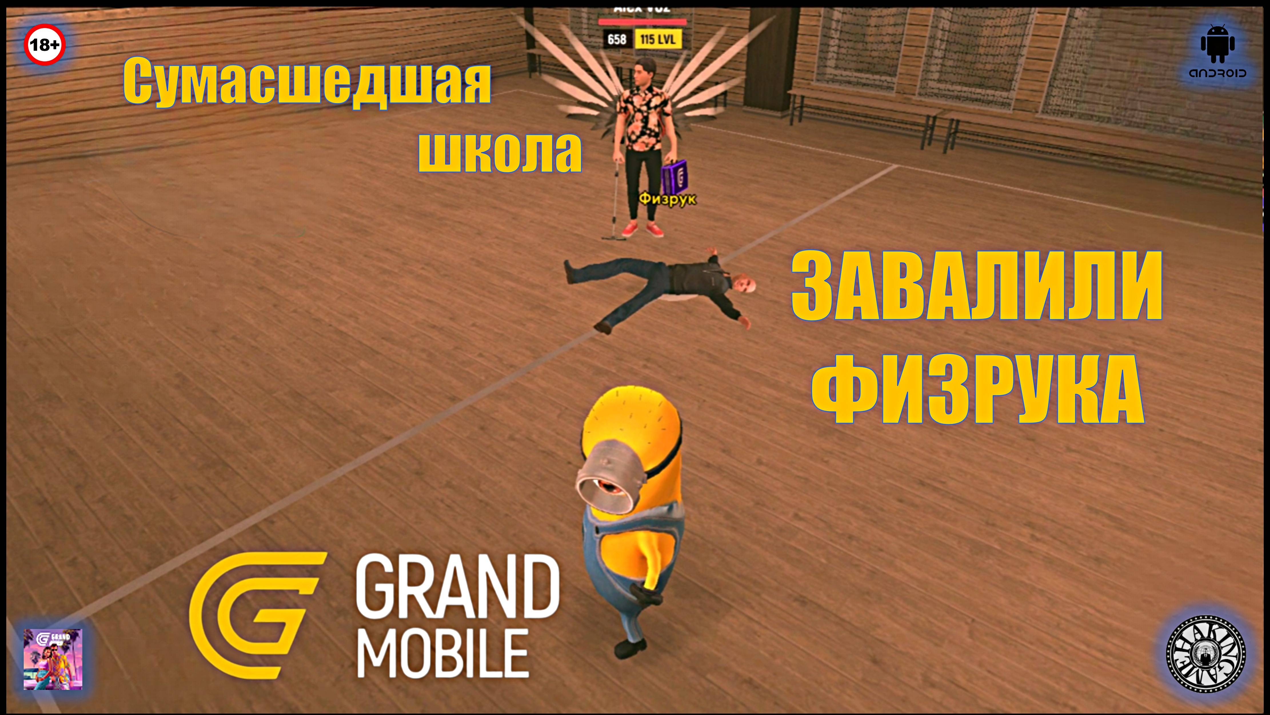 Сумасшедшая школа. ЗАВАЛИЛИ ФИЗРУКА. Grand Mobile (Android)