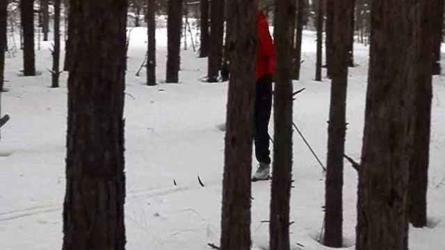 Варваринская зима