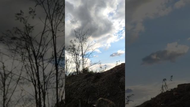 2_5391341411511575613.mp4