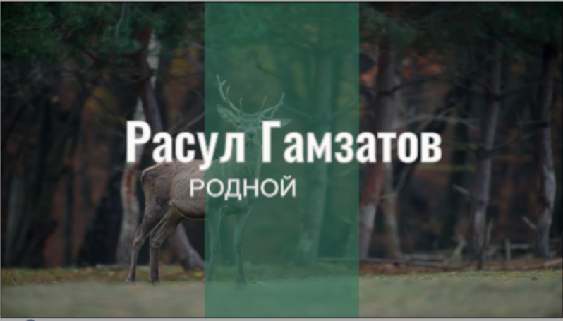 РОДНОЙ ЯЗЫК