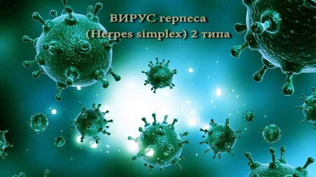 Масло ромашки аптечной (голубой): 3 важнейших свойства