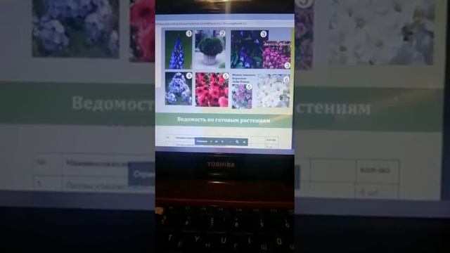 Готовая схема клумбы для начинающих - что внутри и как пользоваться