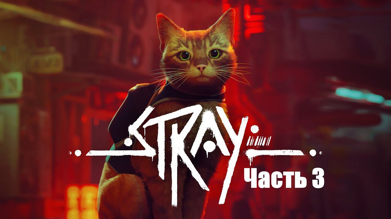 Прохождение Stray.  Часть 3. Финал. Запись стрима.