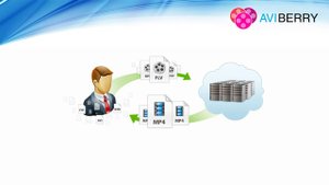 Что такое Aviberry
