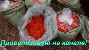 Трейлер на канал