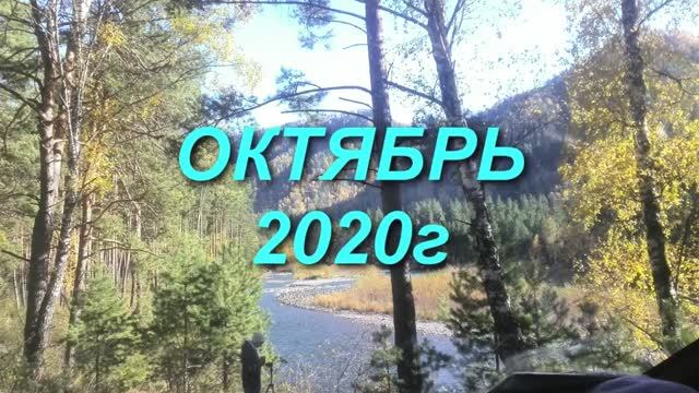 Страницы 2020 010. Серия 34-я.