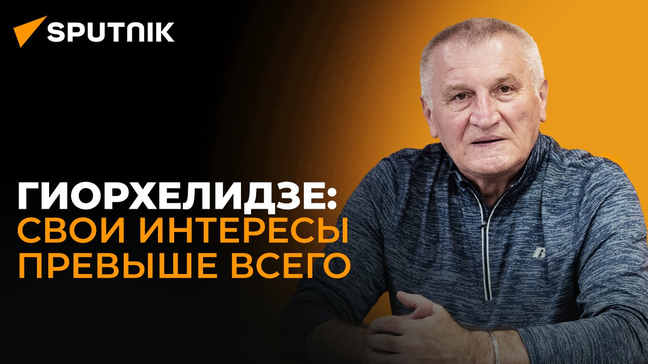 Грузия для успешного развития экономики должна опираться на свои интересы – аналитик