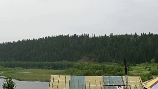 Дожди в Молёбке!