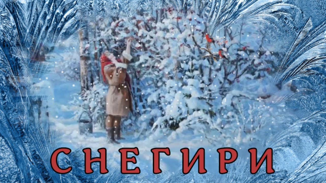 Елена Плотникова. СНЕГИРИ