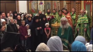 Проповедь схиигумена Сергия (Романова): Избавьтесь от страха. Дата: 18.07.2019 г.
