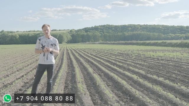 Телесный психолог Владимир Потапенко (Белгород) отвечает на вопрос, как определиться со своей целью