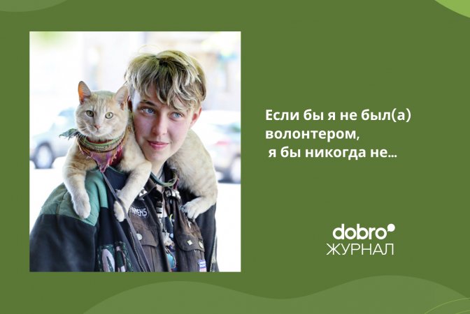 Если бы я не был(а) волонтером, я бы никогда не… ?