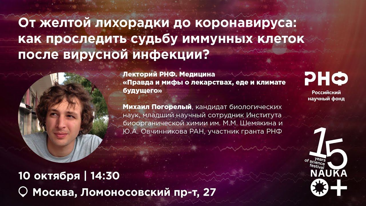 От желтой лихорадки до коронавируса: как проследить судьбу иммунных клеток после вирусной инфекции?