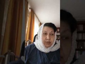 В защиту схиигумена Сергия (Романова). Алла Журавлева
