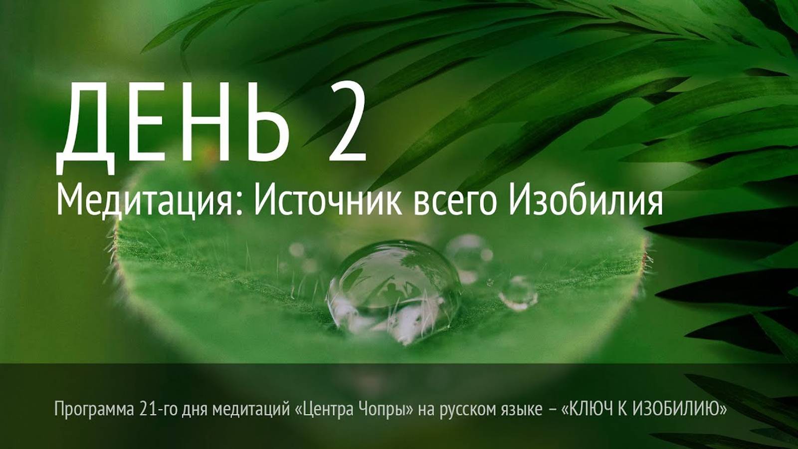 День 2. Марафон Изобилия. хорошая озвучка. Дипак Чопра. 21 день изобилия