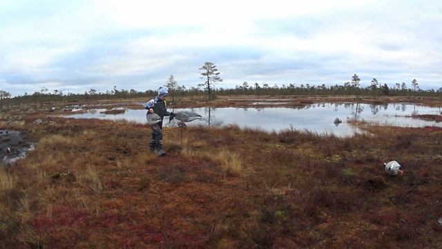 прогулка до болота с сыном