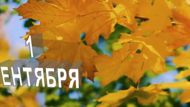01 поздравления с 1 сентября