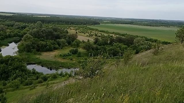 lv_0_20230618071309.mp4