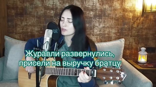 Далеко, далеко, далеко, где бушуют метели. Журавли.