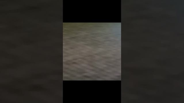 Хапни забористого