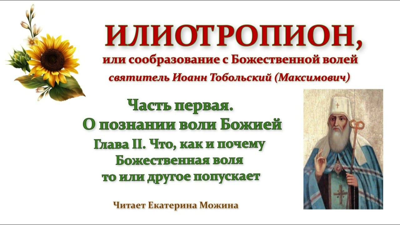 Илиотропион. Ч.1  Гл.2. "Что, как и почему Божественная воля то или другое попускает".