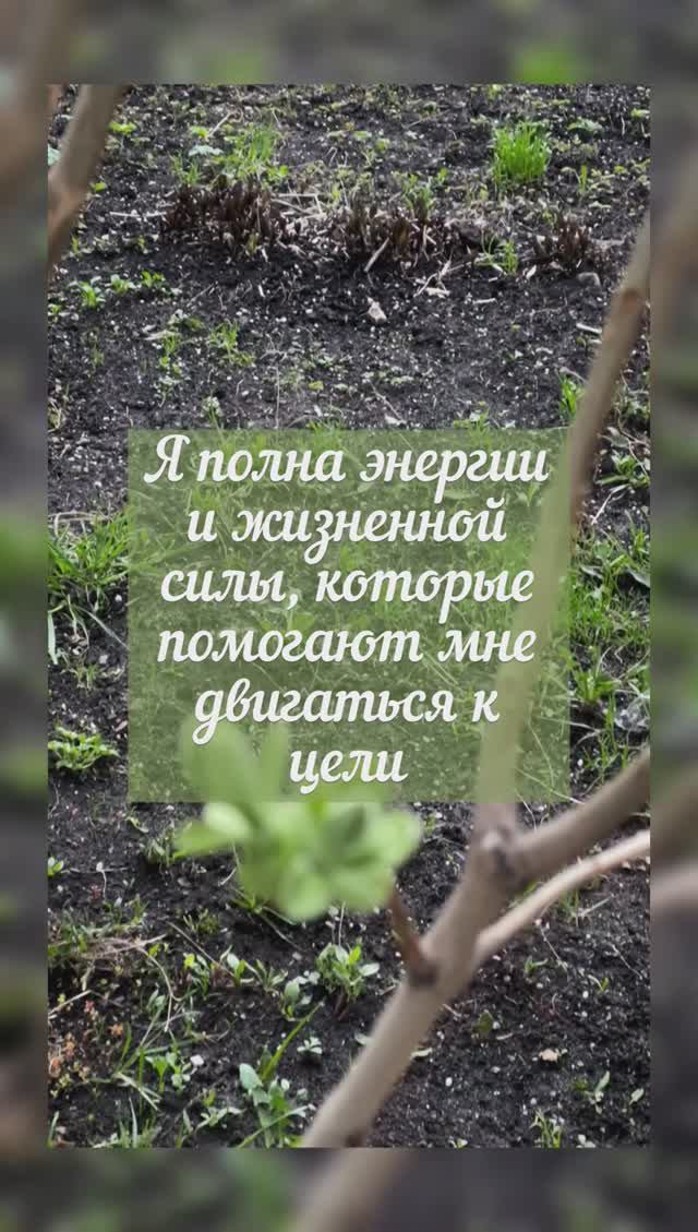 Аффирмация недели (8) #shorts