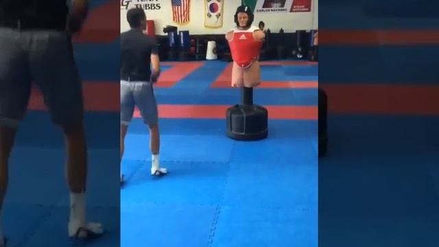 Таеквандо тренировка с груша манекен