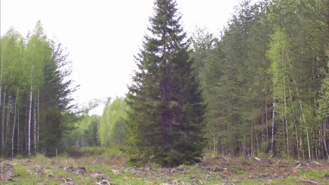 зачётные походы 08-11