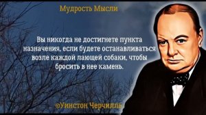 Мудрые Цитаты Уинстона Черчилля. Лучшие цитаты со смыслом и афоризмы