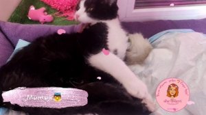 ? Так мы не любим мытые штанишки ?