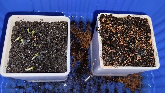 lv_0_20231024175625.mp4