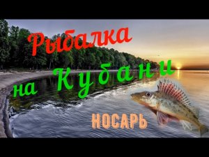 Рыбалка на Кубани в Октябре. Лещи и караси радуют душу. Хороший улов Часть 2