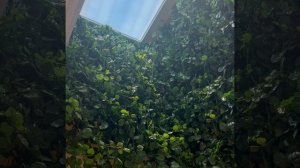 intreligh2022 LEDWINDOW