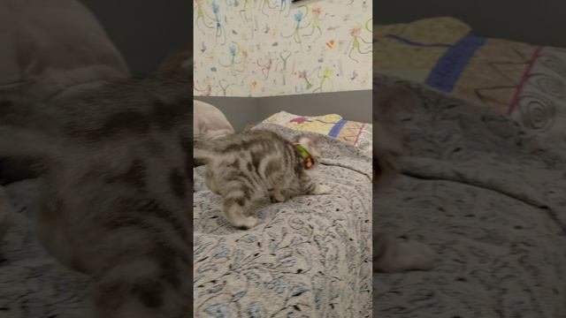 1000029104.mp4