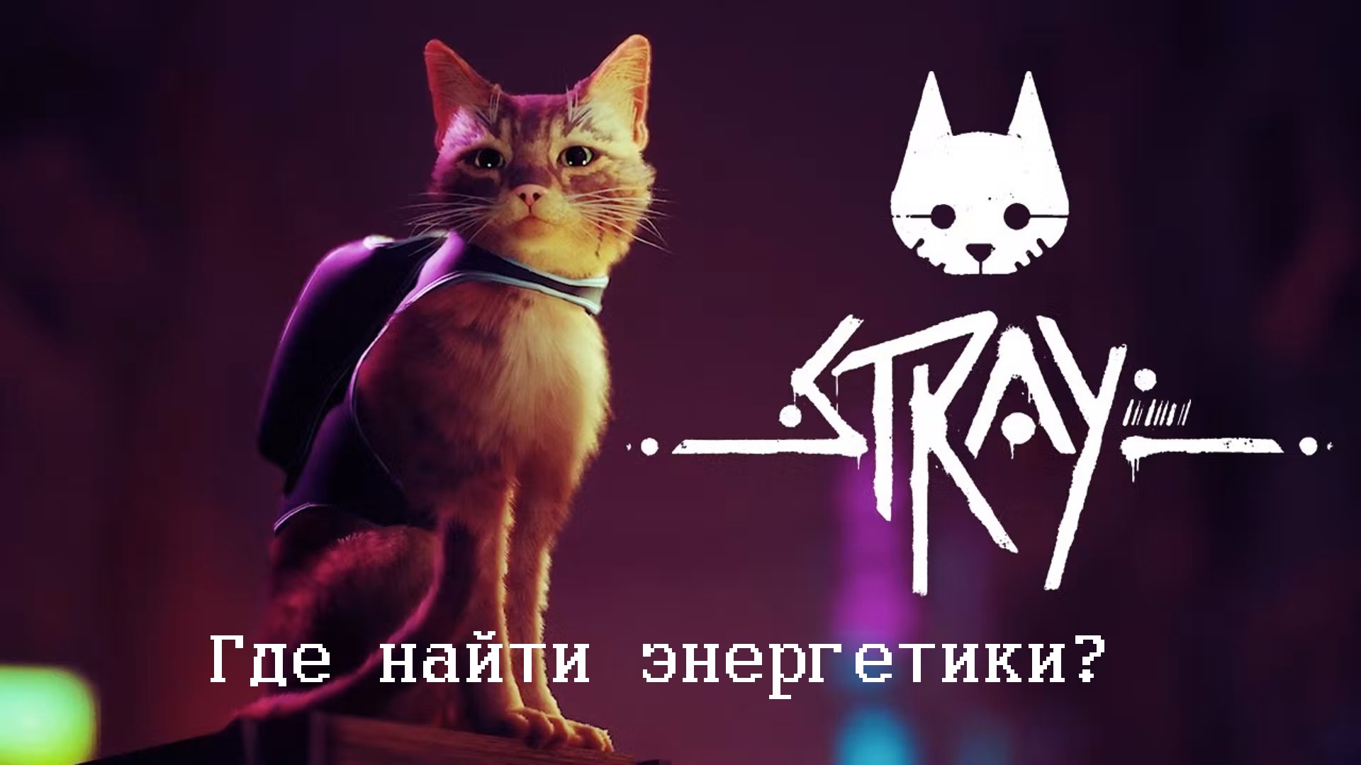 STRAY. ГДЕ НАЙТИ ВСЕ ЭНЕРГЕТИКИ В ТРУЩОБАХ. Без комментариев.