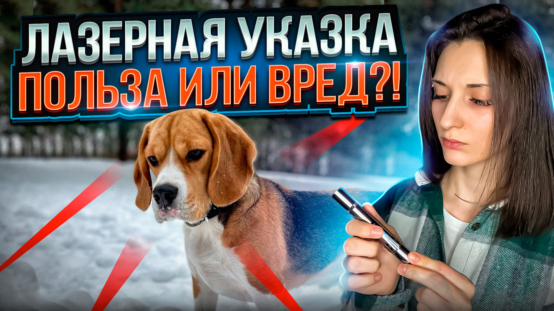 Лазерная указка для собак - польза или вред?!