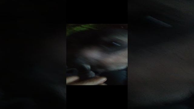 Тетя Мотя с Мексики.