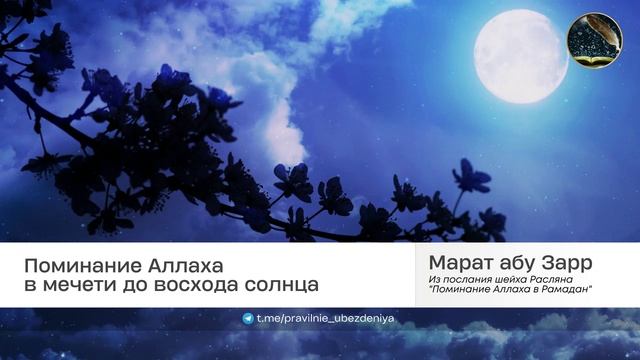 Поминание Аллаха в мечети до восхода солнца | Марат абу Зарр