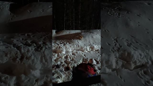 Приручение Девятихвостого #shorts #лис #курама