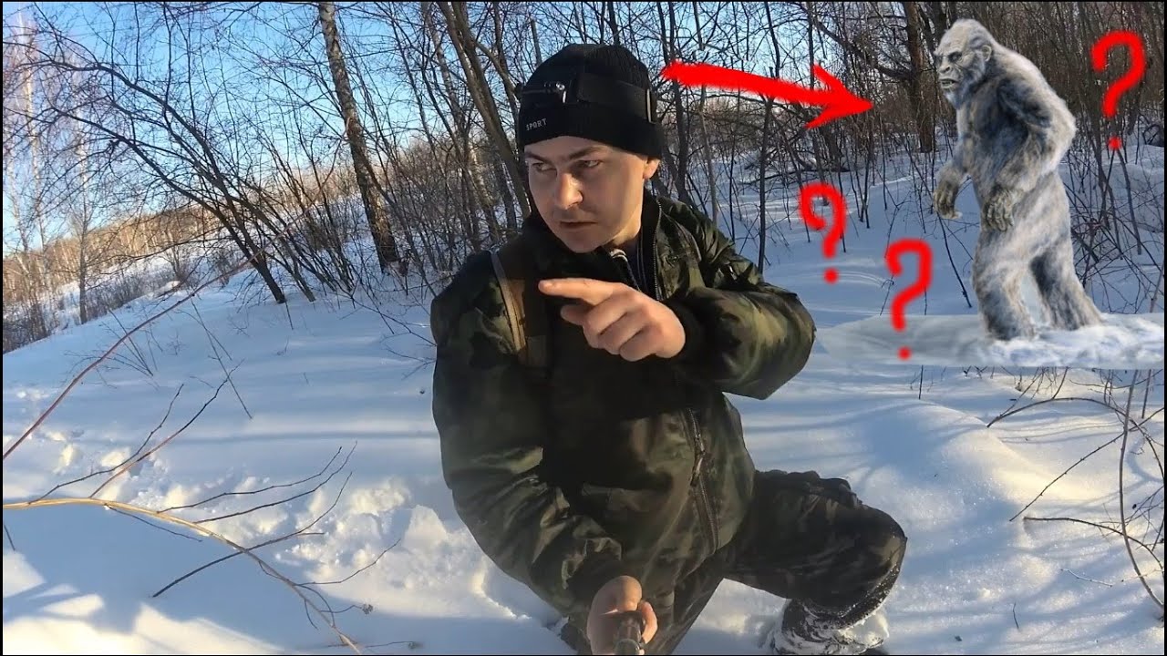 Кого я встретил в лесу.Поход в зимний лес.Село Грязное