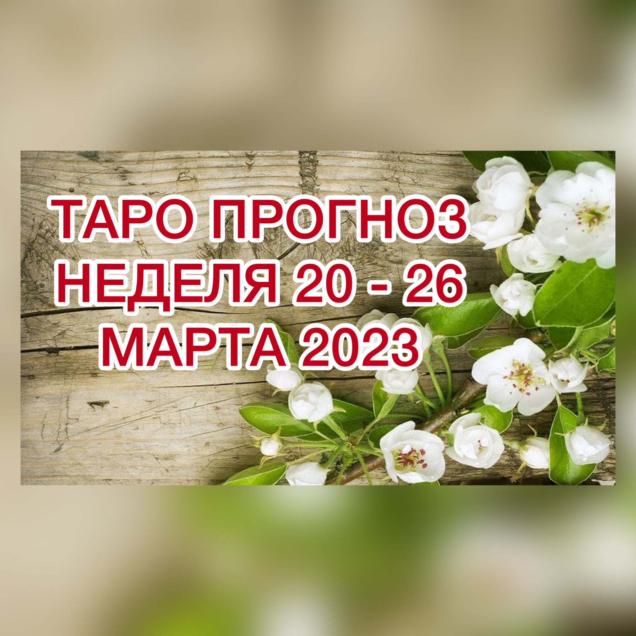 СКОРПИОН ♏️ ТАРО ПРОГНОЗ НА НЕДЕЛЮ С 20 ПО 26 МАРТА 2023