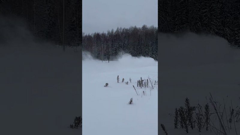 Audi A6 Allroad Quattro снежное веселье, snow fun! #shorts