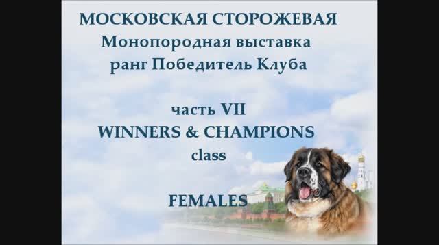 2012.05.09.7.Московская сторожевая  Суки класс Победителей и Чемпионов