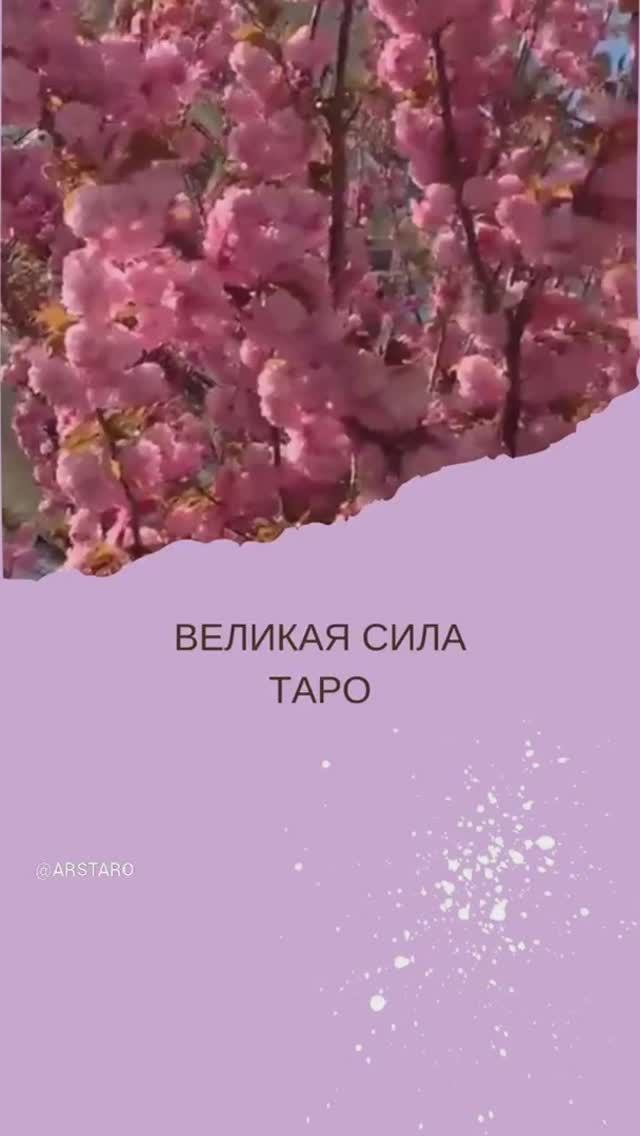 СИЛА ТАРО