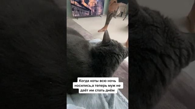 Смех да и олько=)))